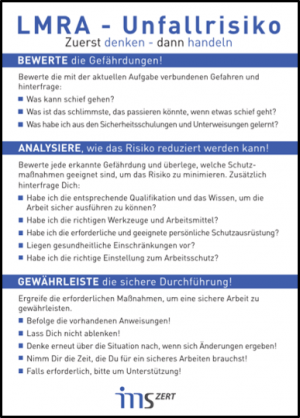 Sicherheitsdialog und LMRA - "Sicher und erfolgreich bei der Arbeit ...